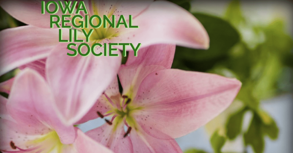 Iowa Regional Lily Society's Fall Symposium - Greater Des Moines ...