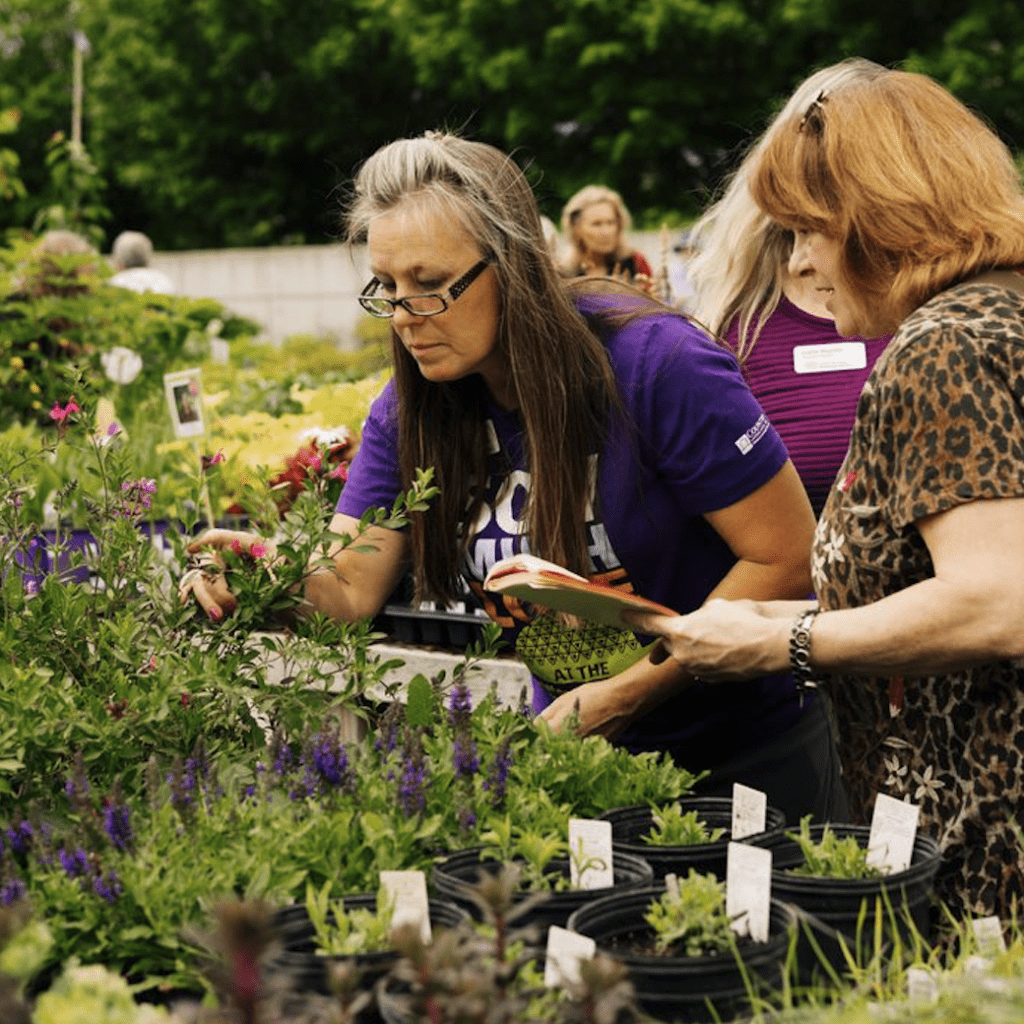 Waking Up the Garden: Ease into Spring Planting - Greater Des Moines ...